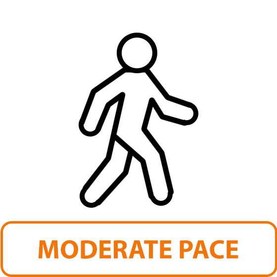 Custom Excursion - Discover Sahara Tours